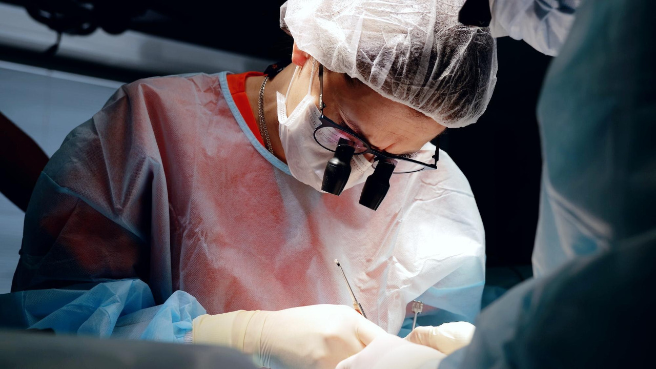 Lab-grown organs transplanted without rejection