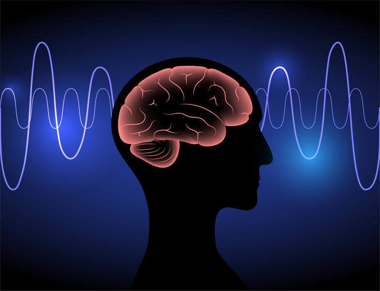 The Science Behind Sleep and Brain Performance