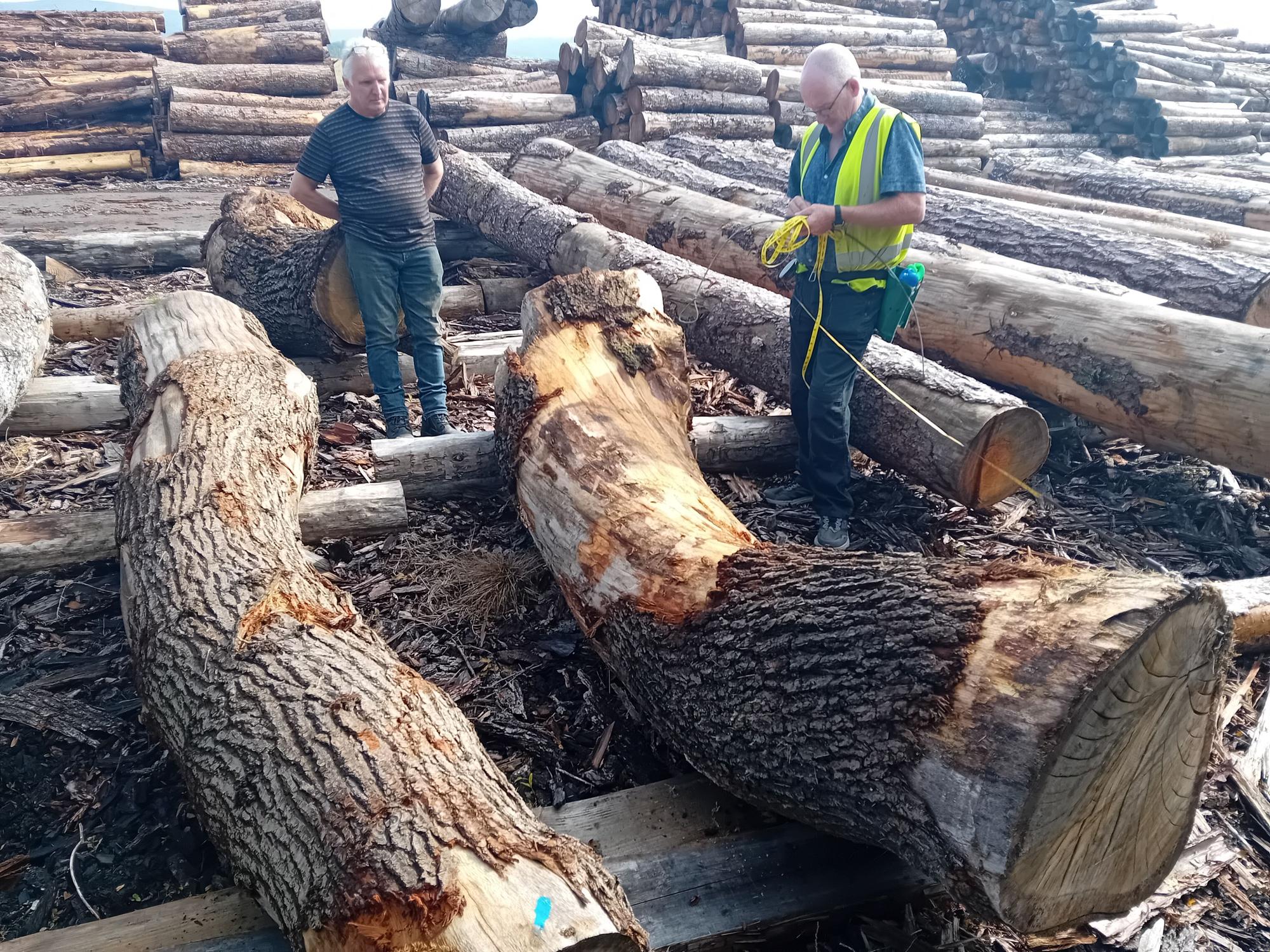 Sculpture project aims to help people recover from addiction