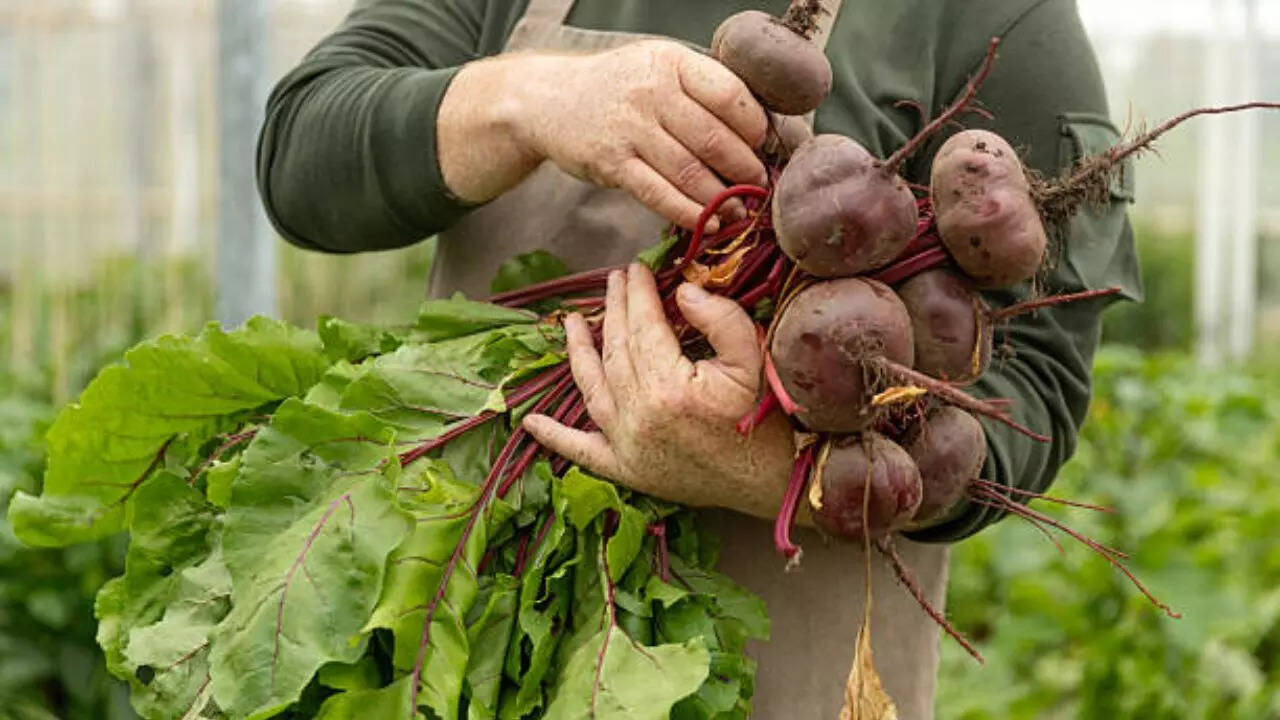 Love beetroot? Doctor explains why they might not be safe for everyone