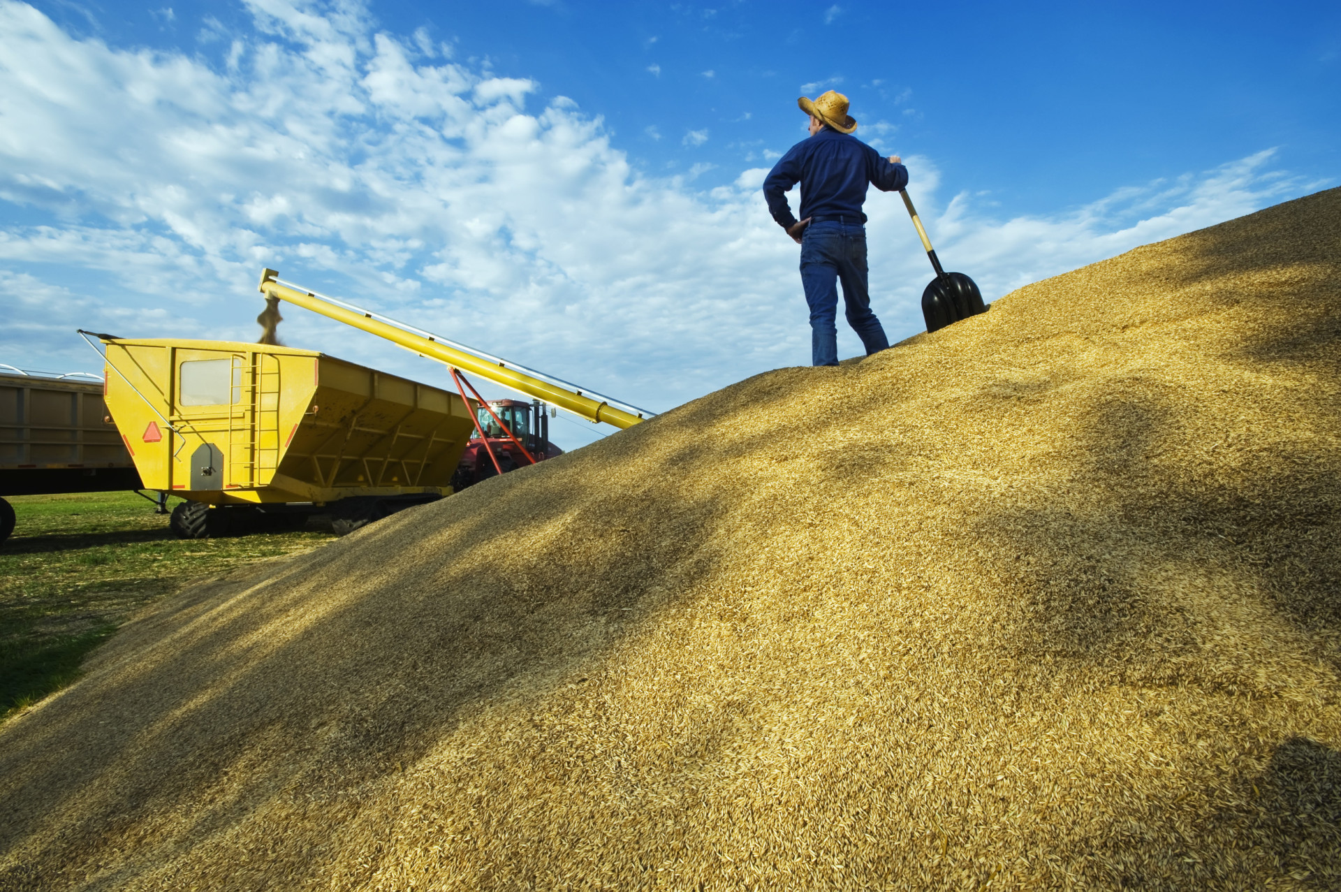 The most produced grains and cereals in the world