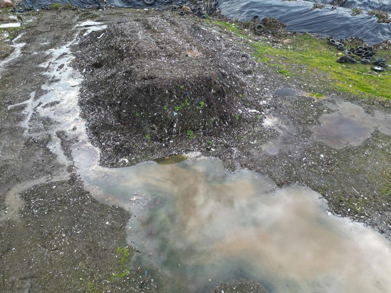 B.C. rancher wants better oversight of compost facility that takes ...