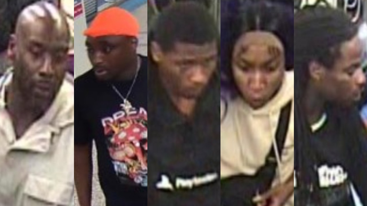 Chicago police seek 5 suspects in CTA Red Line beating, robbery