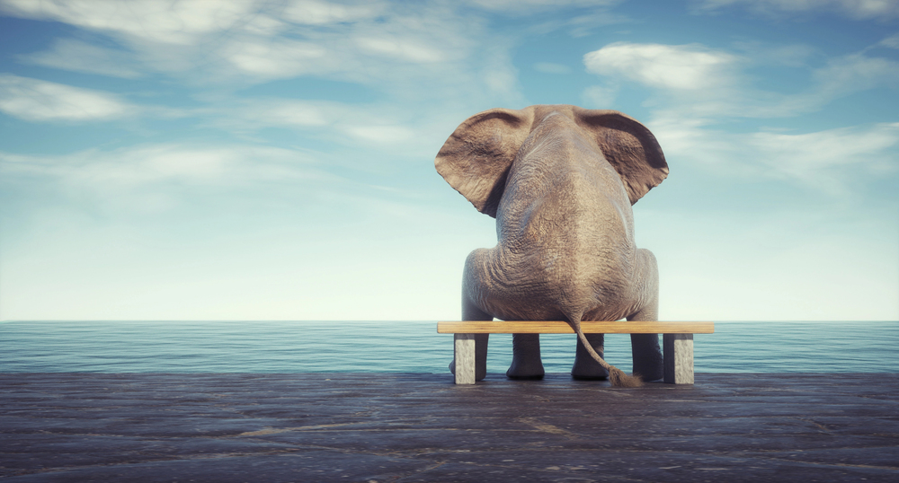 15 Famous Performing Animals Throughout History