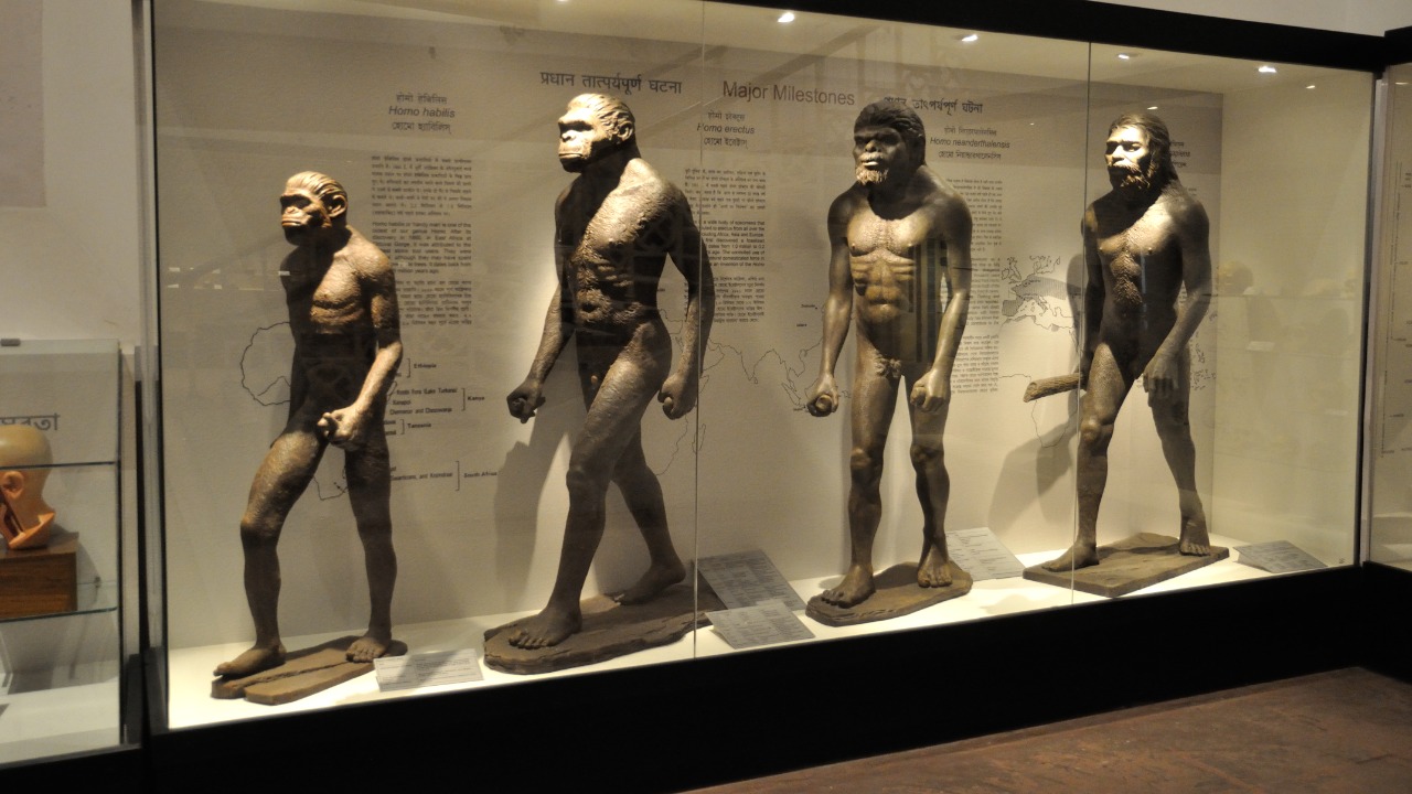 Scientists find a surprising link between lead and human evolution