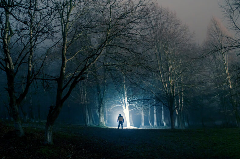 People Talk About The Creepiest Things They've Seen In The Woods