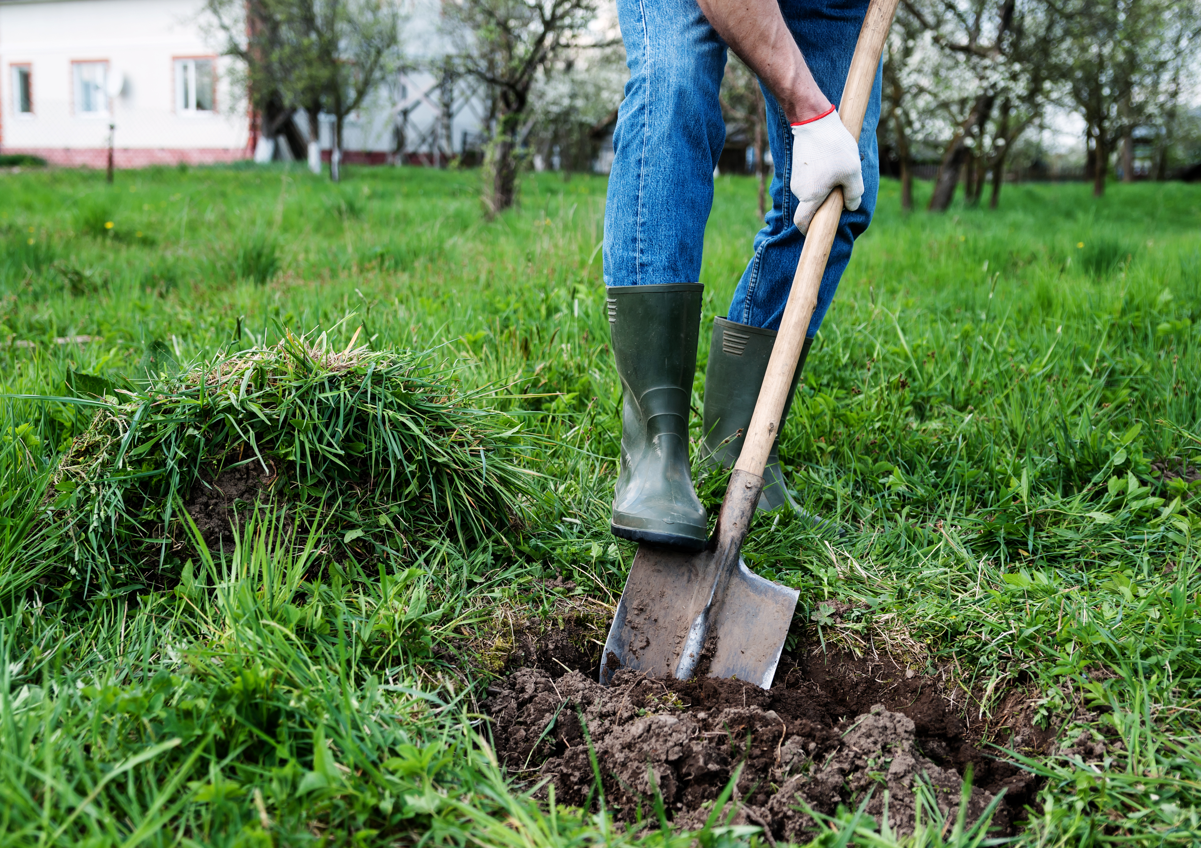 Homeowner not prepared for what is found buried in backyard: "lottery"