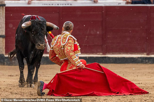 Female bullfighter praised for her looks as well as her skill slays ...