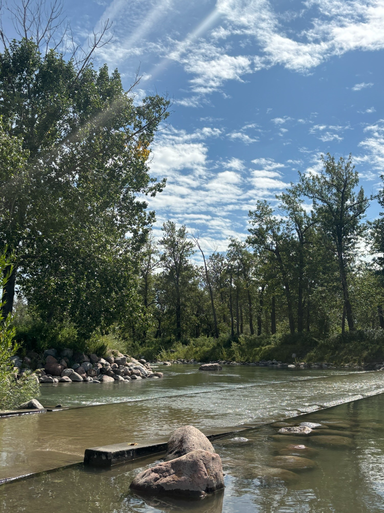 Calgary: North America's Best Biking Spot