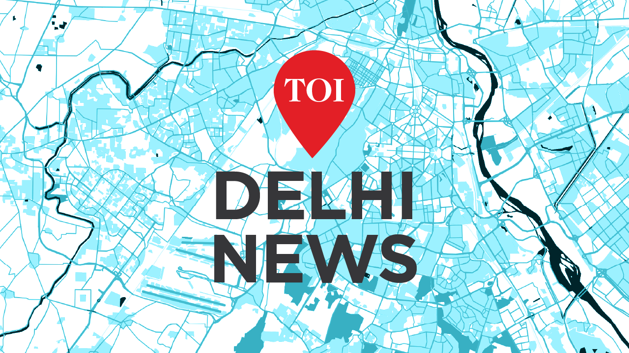 Sirsa reviews Delhi’s climate plan, sets targets for 2050 across key ...