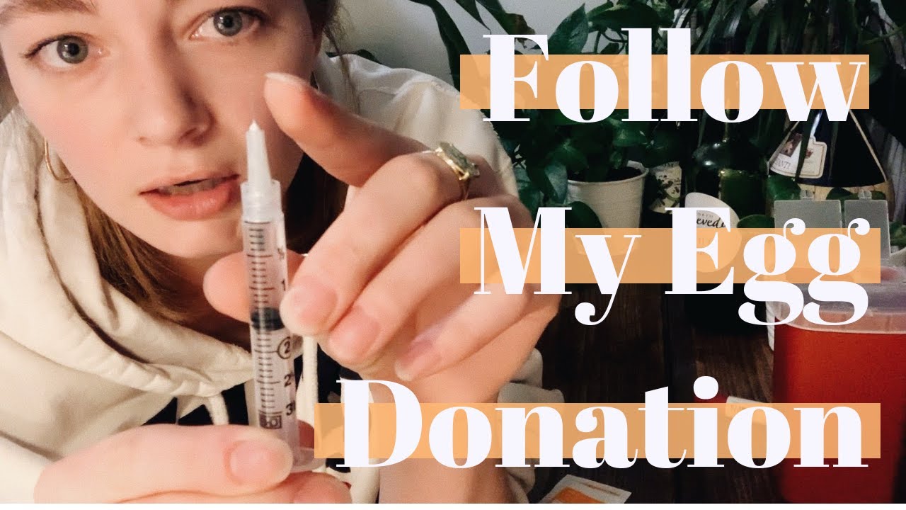 How a typical egg donation goes down!