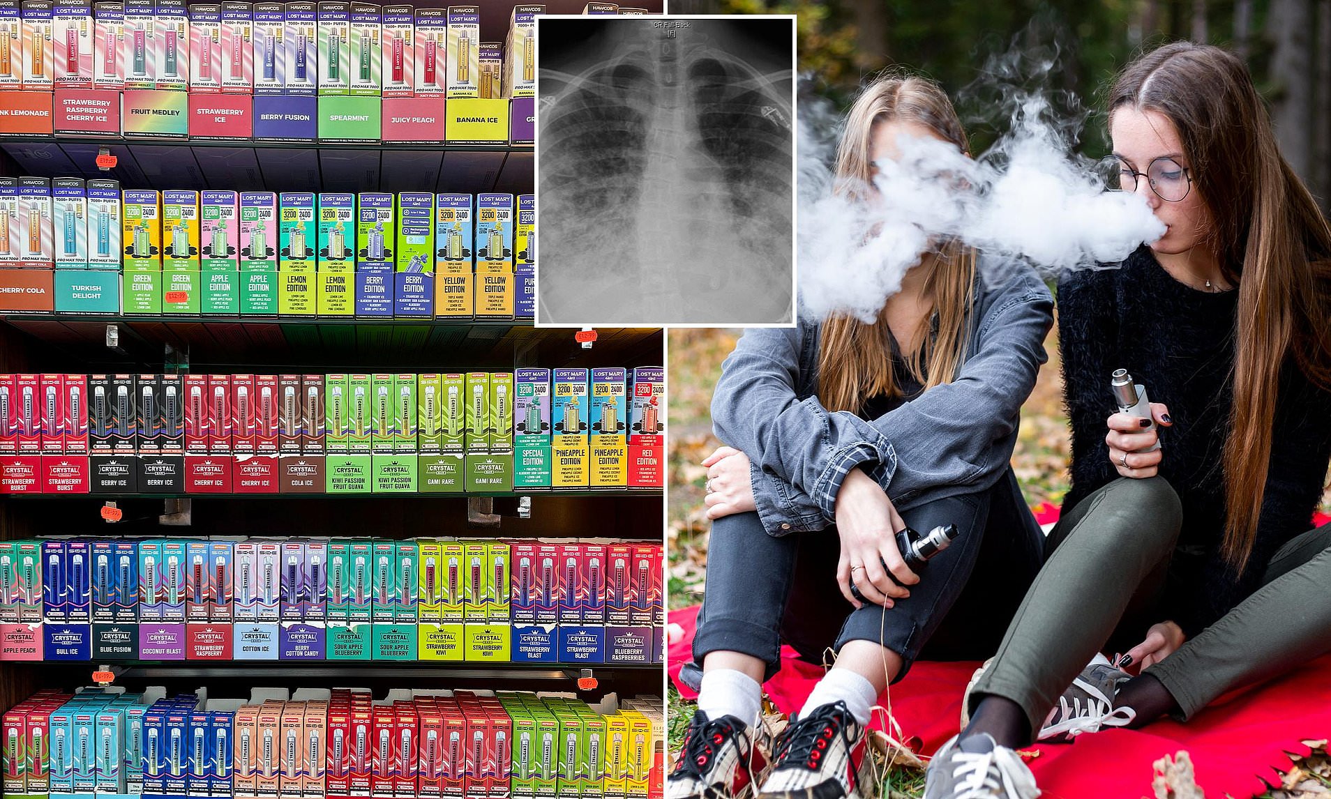 Experts call for GLOBAL BAN on vapes: 'We have the data... we know they ...