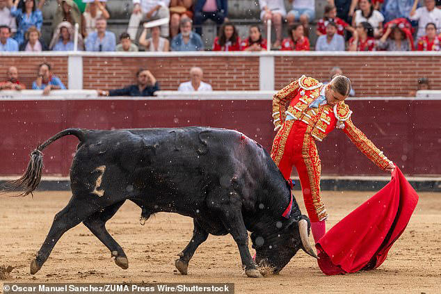 Female bullfighter praised for her looks as well as her skill slays ...