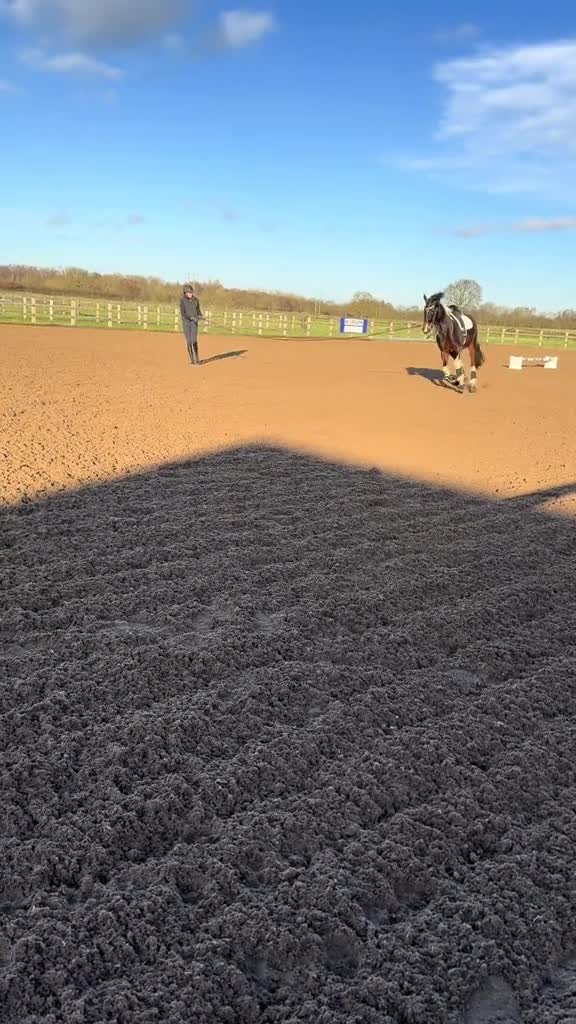 Bringing My 4-Year-Old Homebred Horse Back Into Work