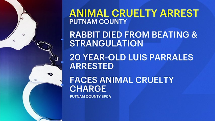 Police: Patterson man beat and strangled rabbit