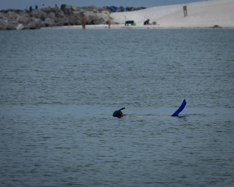 Shark bite victim is from Naval Warfare Center Panama City Division