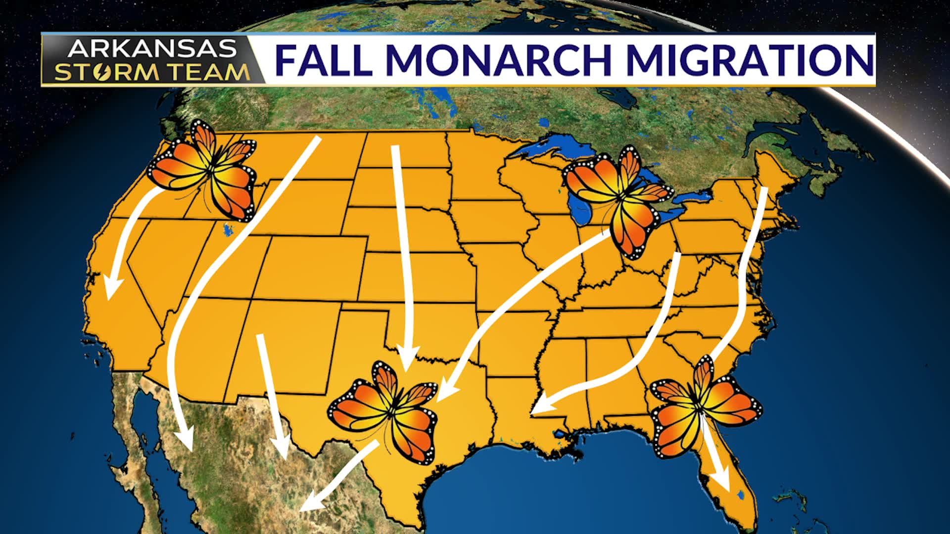 Monarch Butterfly Fall Migration