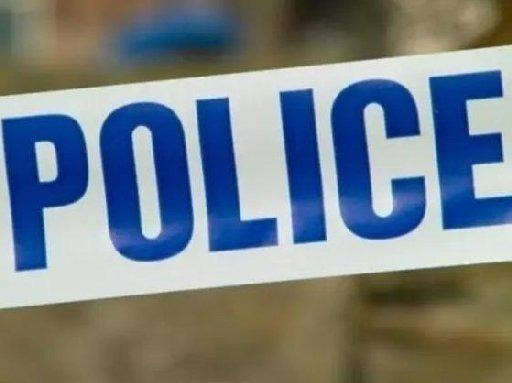 Police hunt van driver who hit female pedestrian with wing mirror near ...