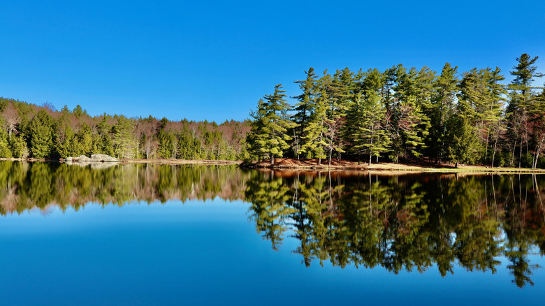 This Quiet Campground Is A Great Jumping-Off Point For The Pharaoh Lake ...