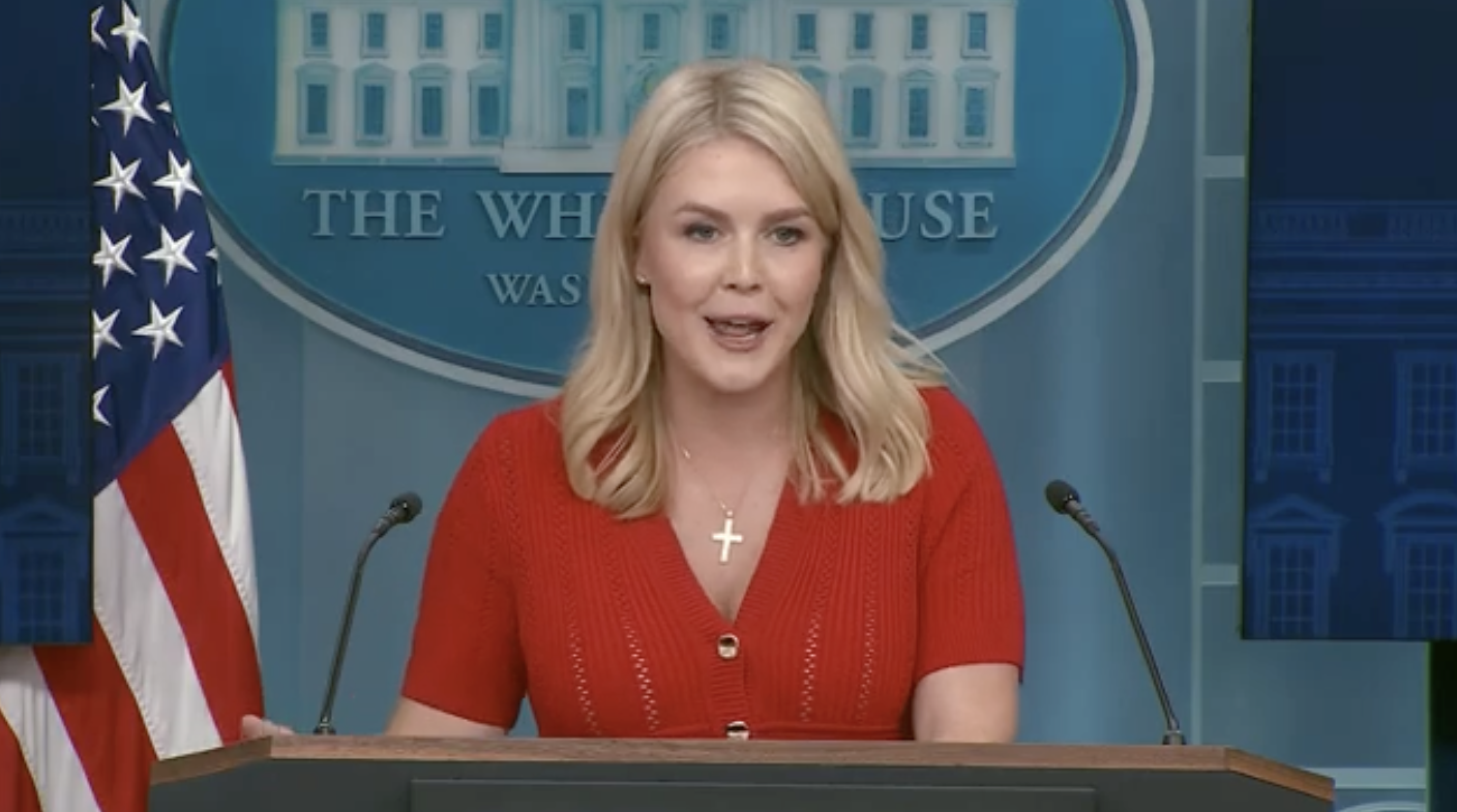 'You Don't Know?': Karoline Leavitt's Lip Quivers As The Trump ...