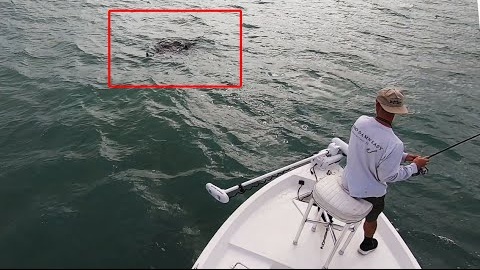 We Didn’t Expect to See This While Fishing - Shocking Encounter