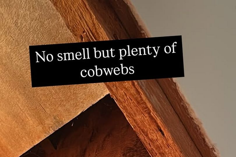 Muireann O'Connell house renovation update plus the issue she's trying to fix