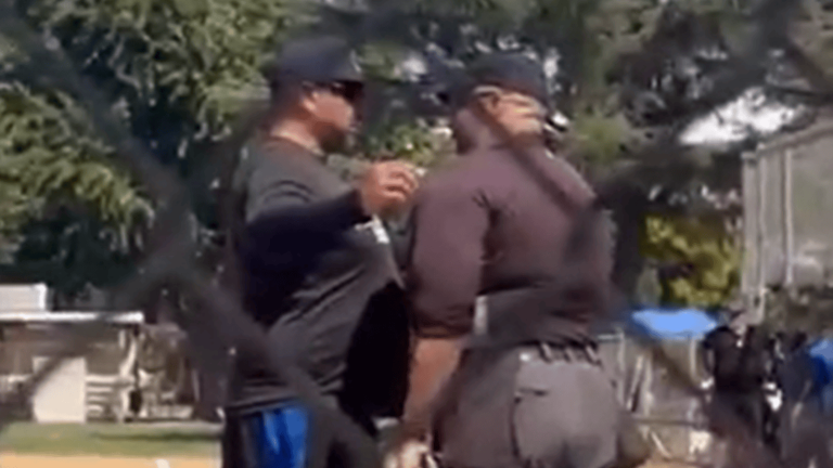 Baseball: Umpire and Coach Throw Punches After Dispute in Youth League ...