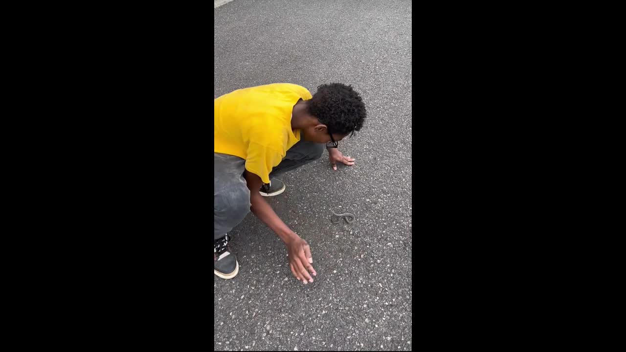 Man’s funny encounter with small snake in Vancouver, Washington, USA