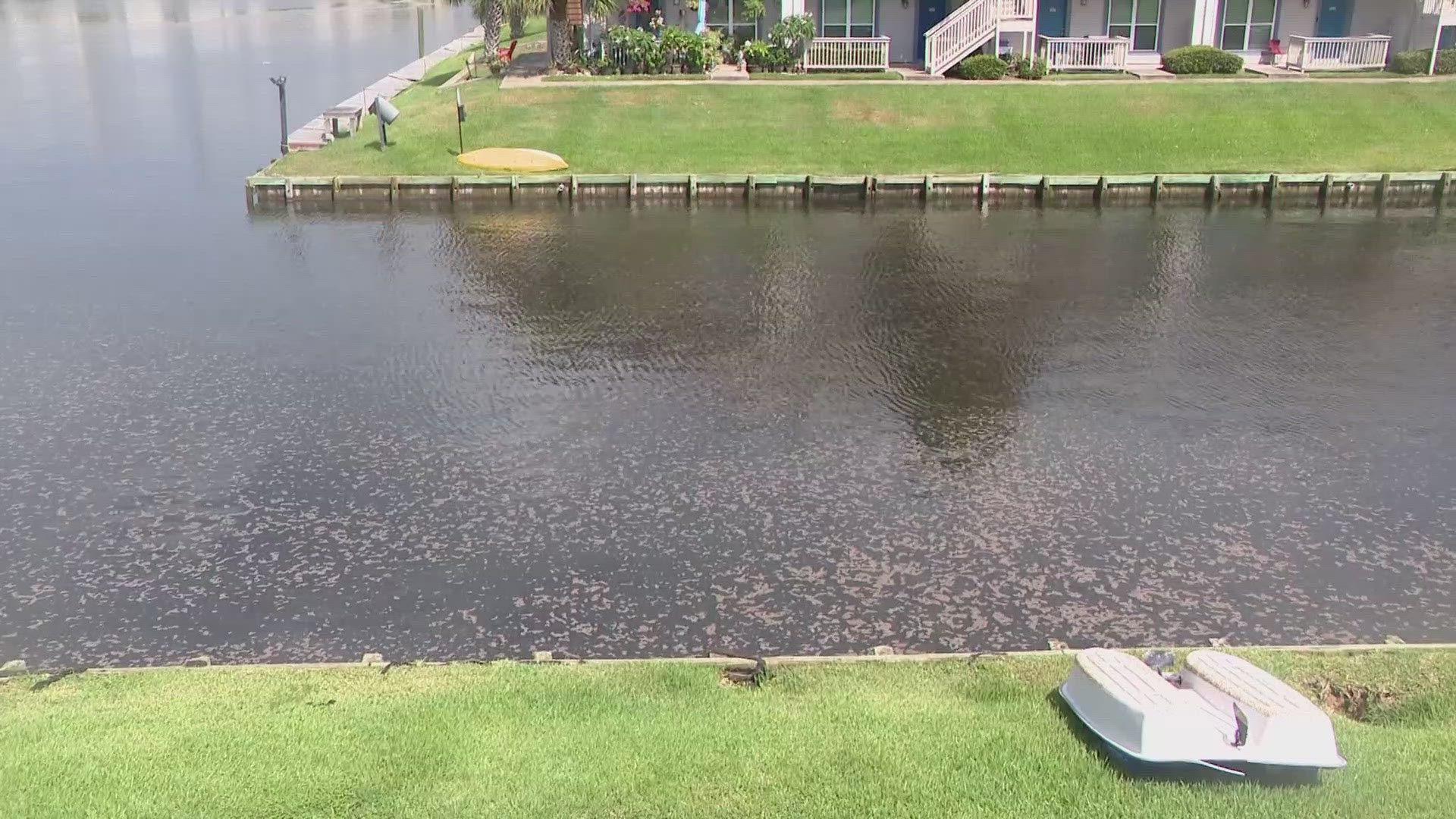 2,500 gallons of sewage overflows into Galveston canal