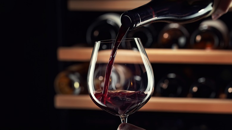 25 Essential Wine Terms You Should Know