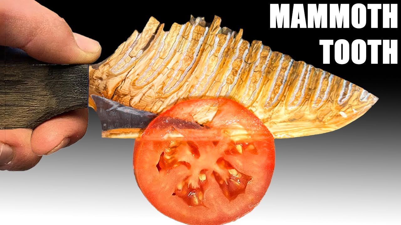 World's Sharpest Mammoth Tooth Knife