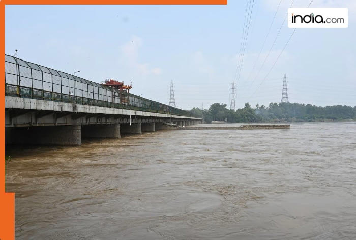 Heavy flooding in Delhi as Yamuna River’s water level rises to 207.41 metres; relief camps set up