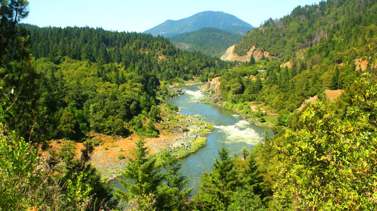 California's 'River That Came Back To Life' Thrives With Wildlife And ...