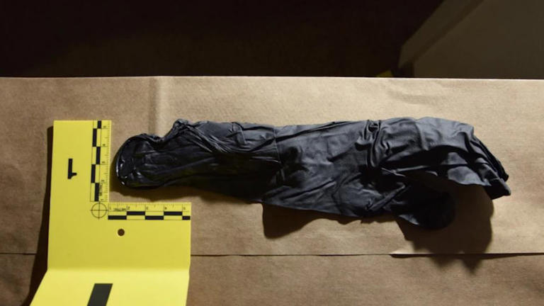 Photos from Bryan Kohberger’s apartment released