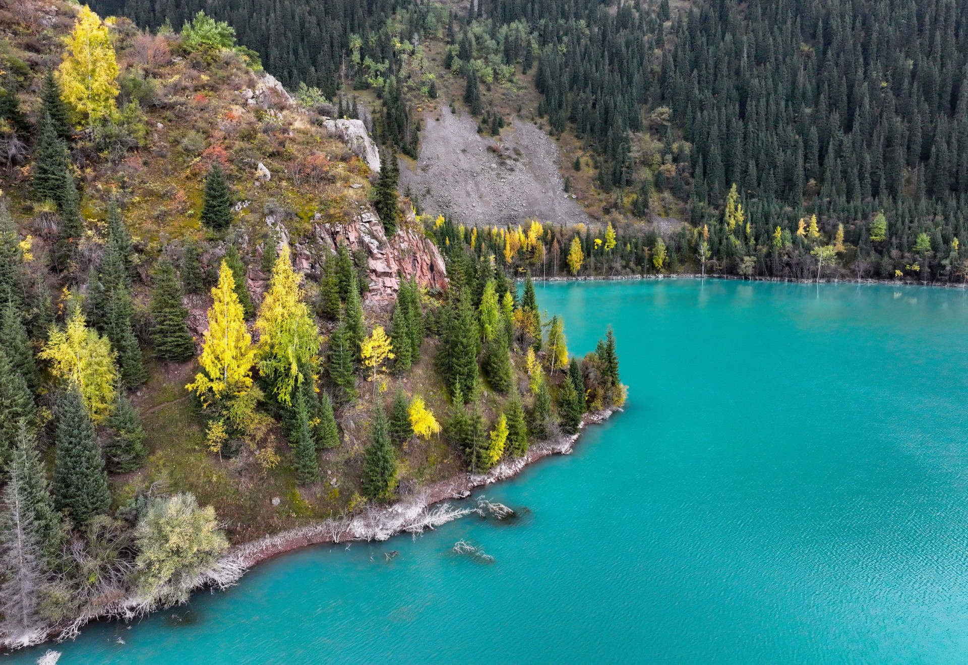 Der versunkene Wald im Kaindysee