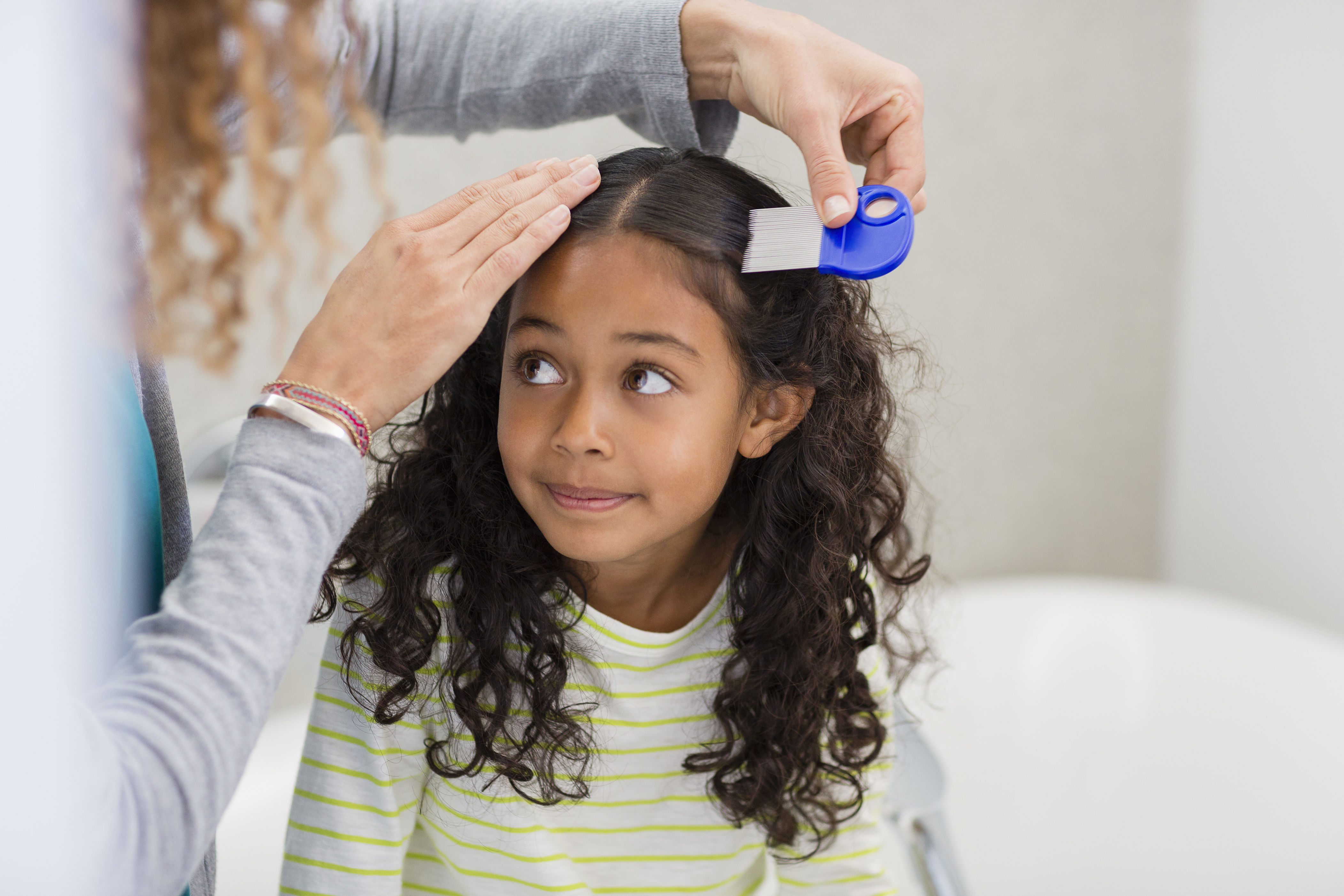 5 immediate steps to take when your child gets head lice