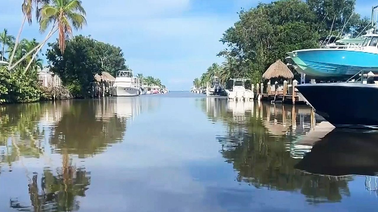 Hai-Attacke in Florida: Raubfisch beißt Achtjährigen beim Schnorcheln
