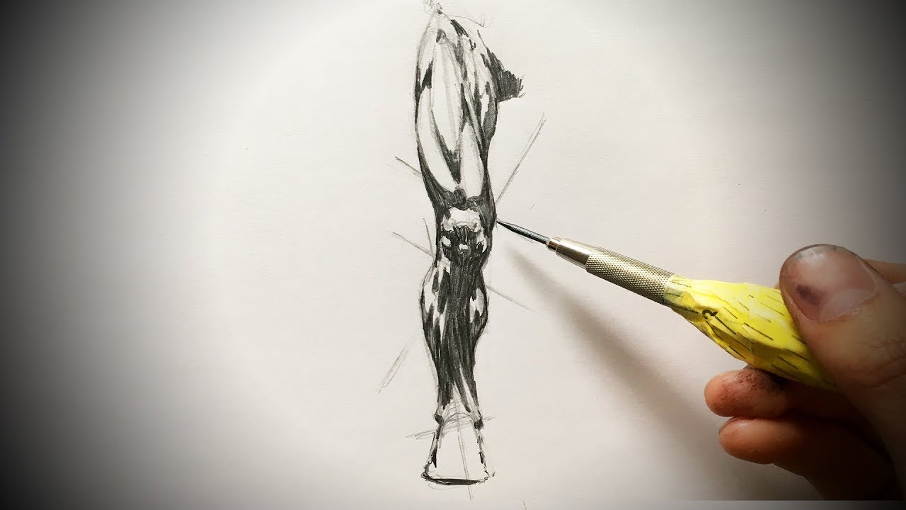 How to Draw Legs - Pencil Drawing Tutorial