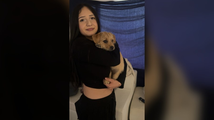 Missing Fort Collins 13-year-old found safe