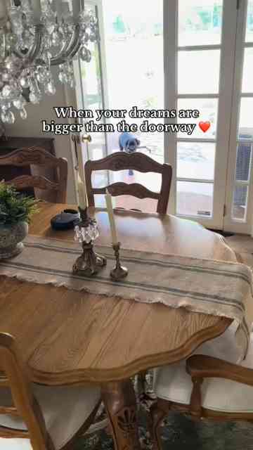 Black Lab Puppy Life — The Dream vs The Reality