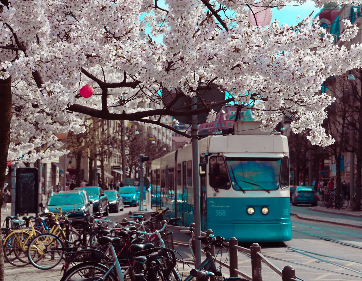 Gothenburg: Where to eat, drink and shop in Sweden’s charming second city