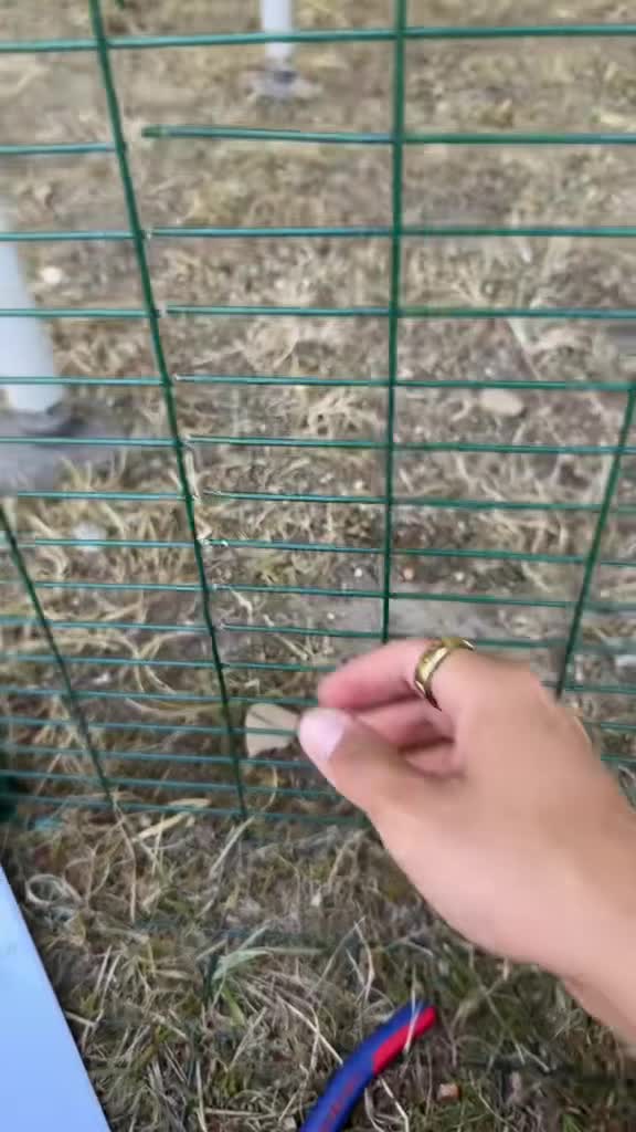 Installation de la porte automatique pour les poules!