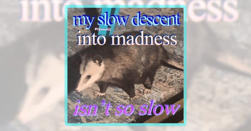 22 Cute Yet Cursed Opossum Memes for Late-Night Scrollers