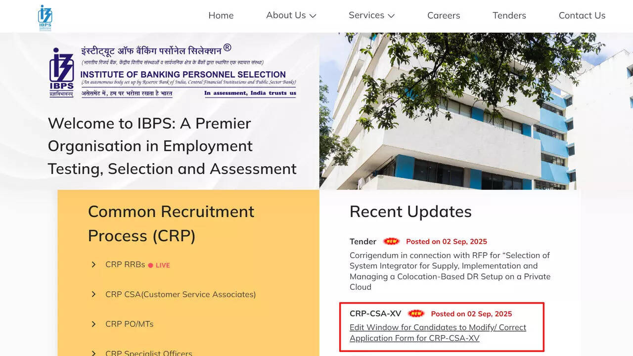 IBPS Clerk CSA XV correction form 2025 released; edit application at ...
