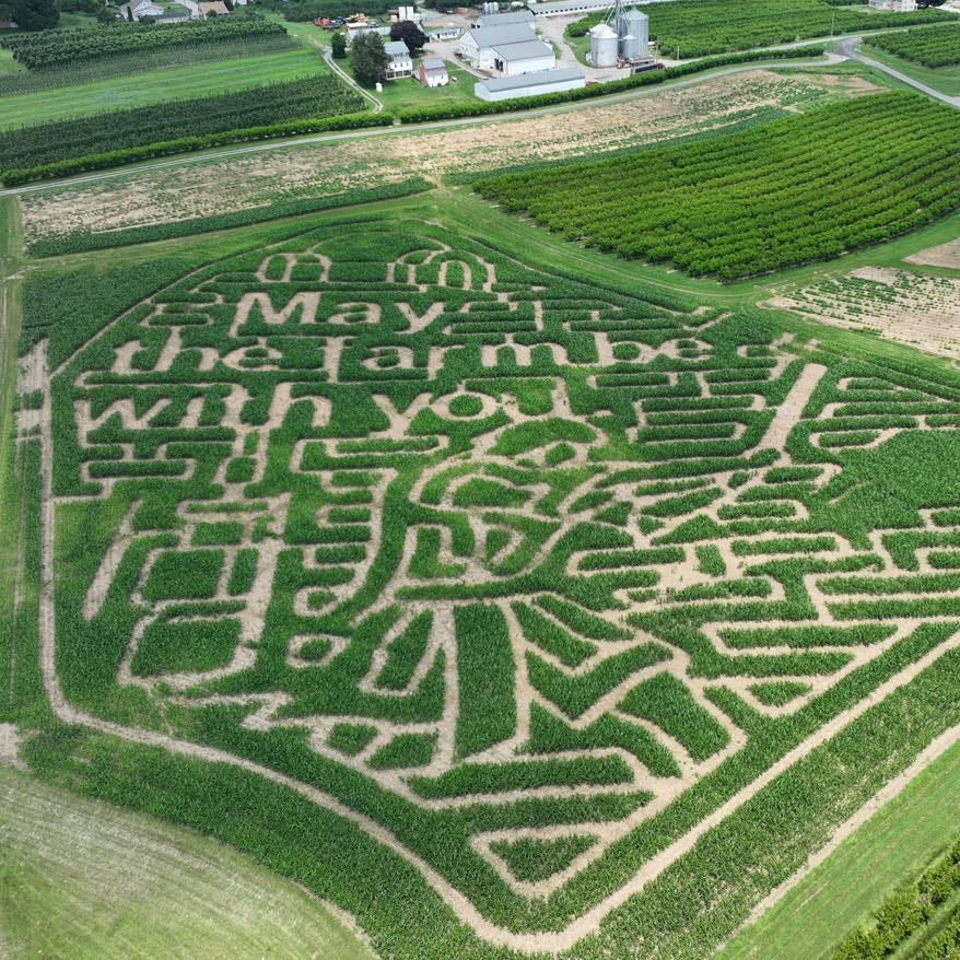 Family-friendly corn mazes to check out in York County & beyond this fall