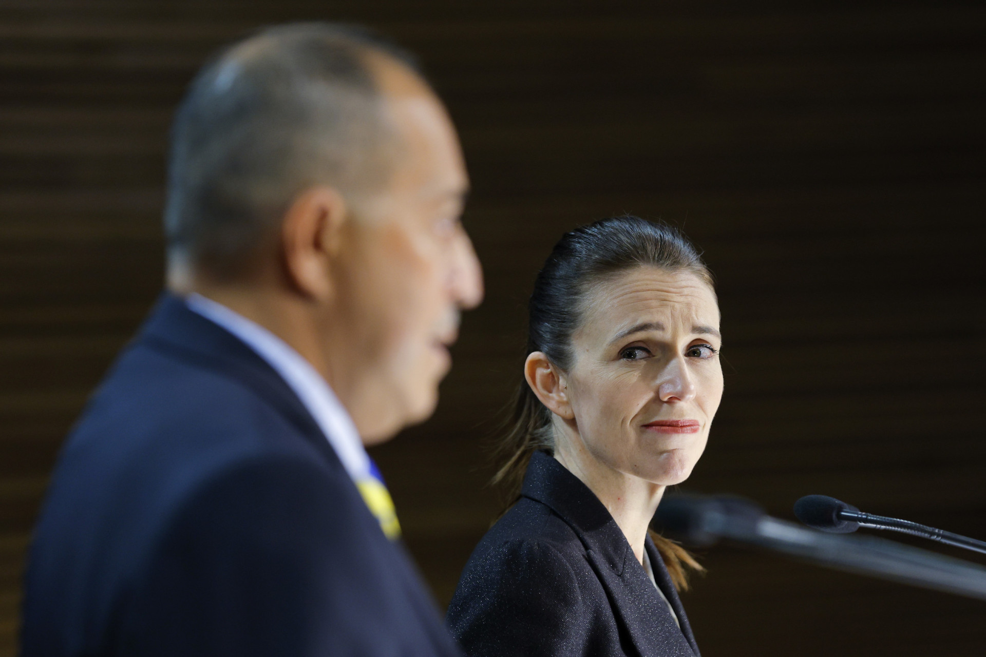 Landen zonder politieke partijen