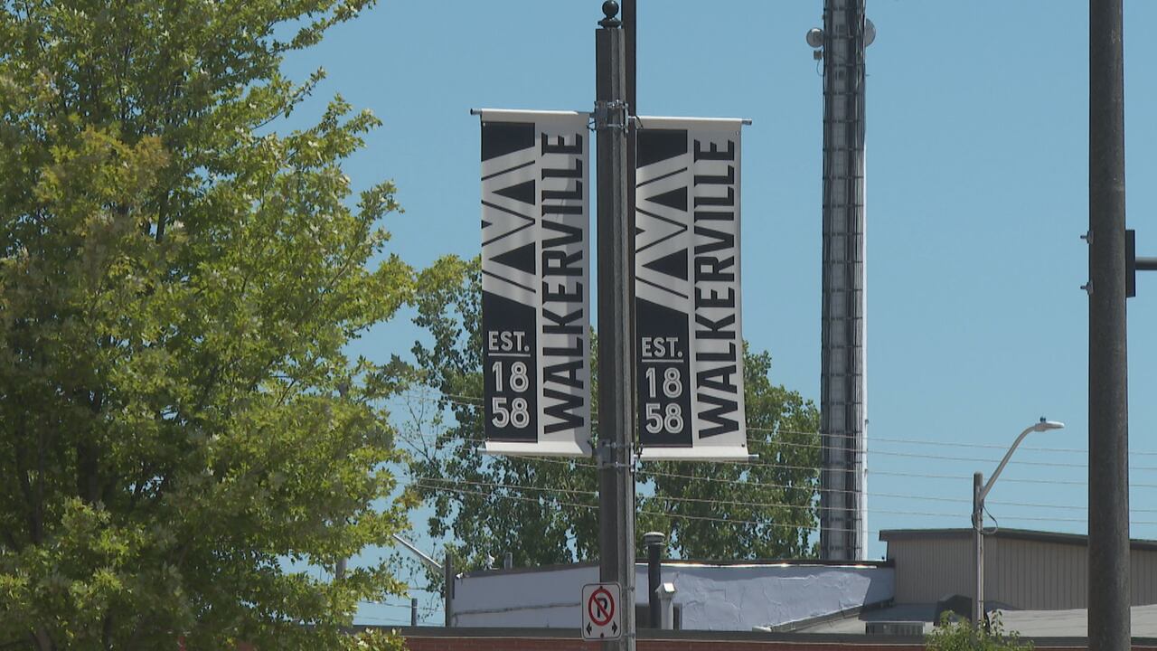 This Windsor, Ont., street festival is returning with food, music and ...