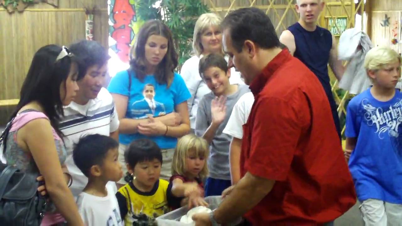 The Reptile Zoo: August 3