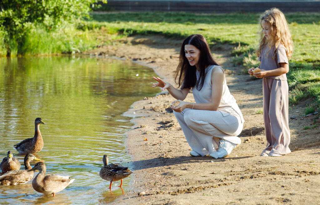 10 bird feeding laws people violate daily without knowing