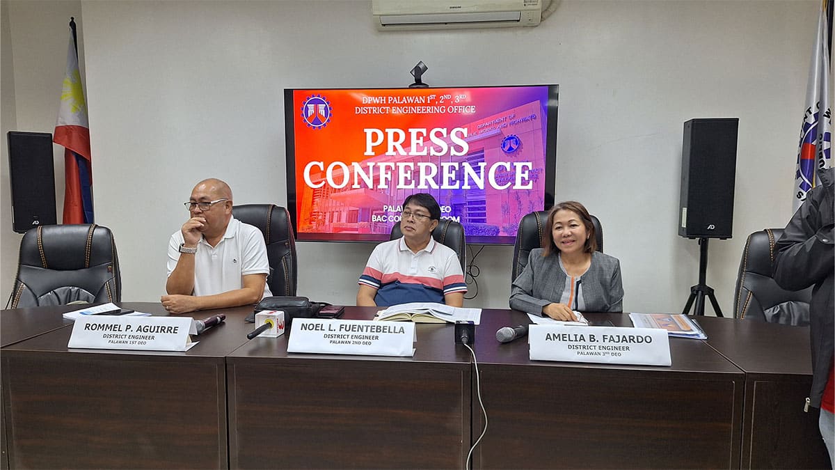 Palawan DPWH engineers to tender resignation, deny ghost projects